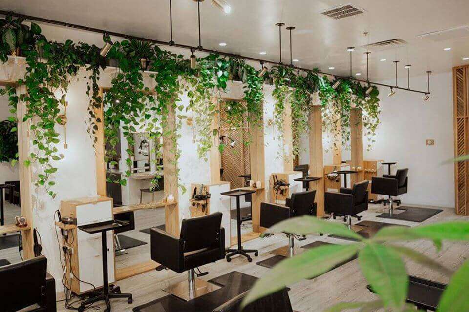 Best Color Schemes for Complete Salon Interior in 2024 - Murshid Interiors